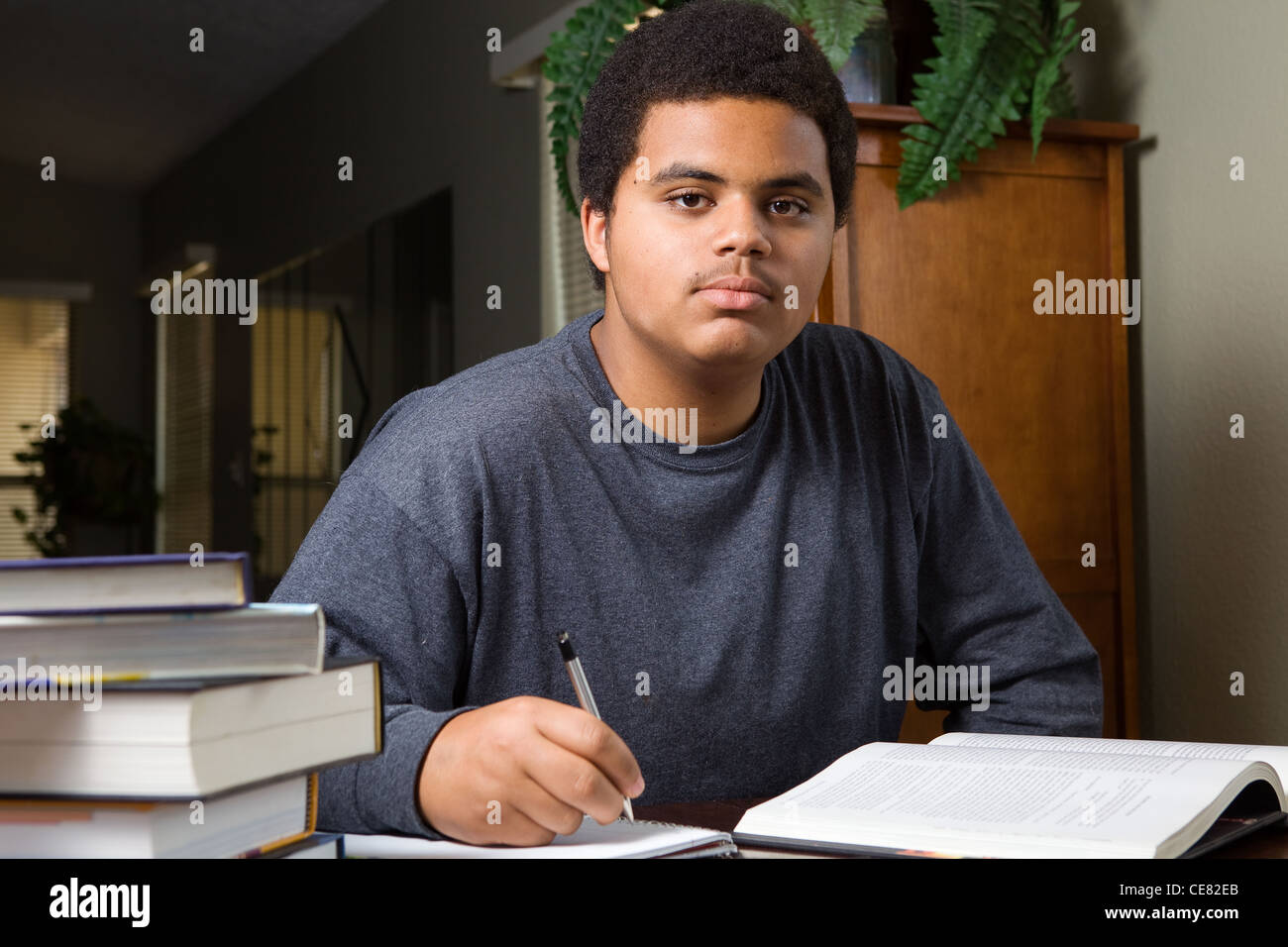 Hard working African American teenage student, studying at home with ...