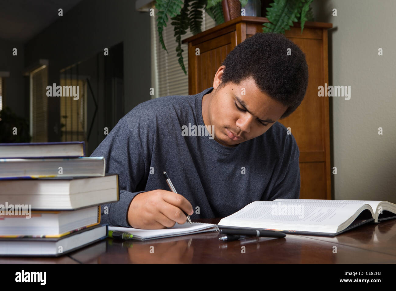 Hard working African American teenaged student, studying at home with ...