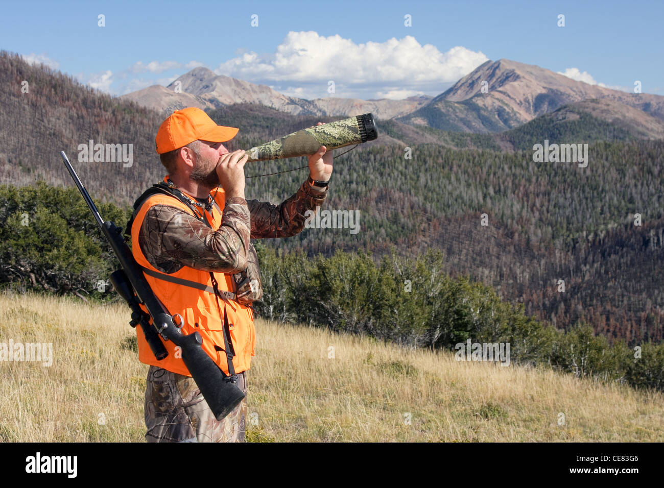adult elk hunter calling for elk in the mountains Stock Photo - Alamy