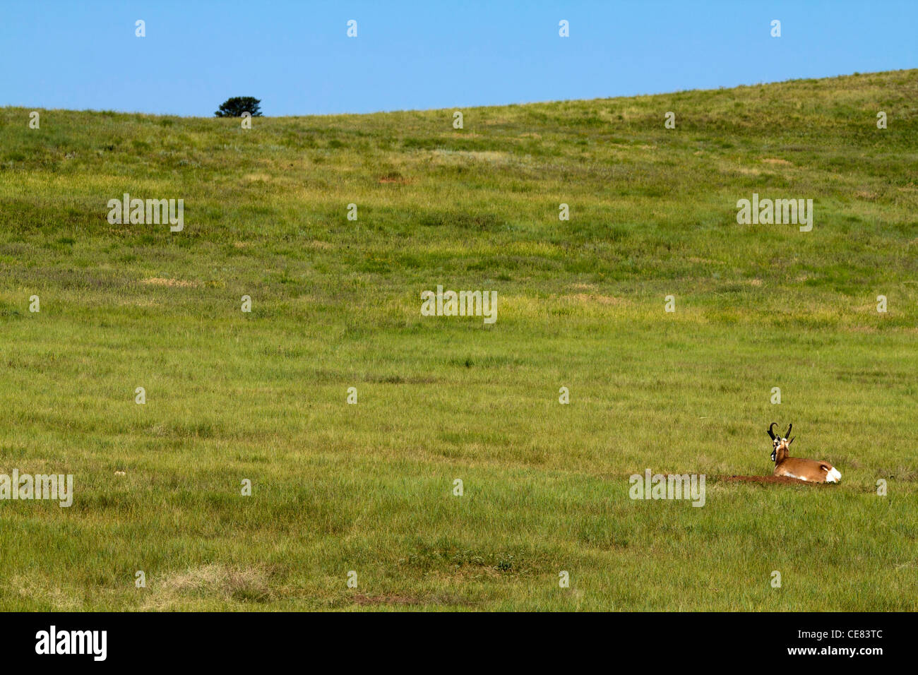 Great sioux reservation hi-res stock photography and images - Alamy