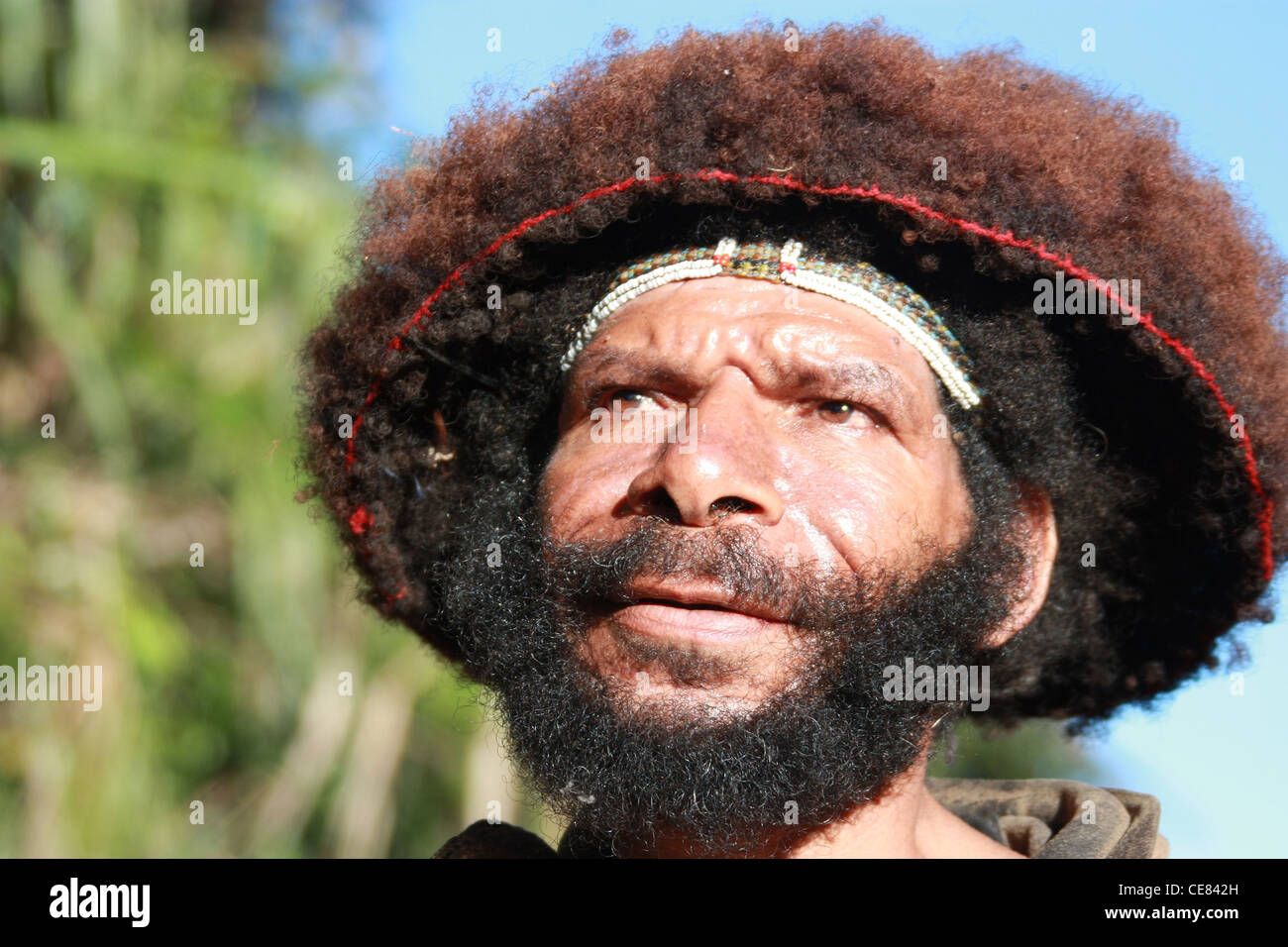 Huli Wigman from the Highlands of Papua New Guinea Stock Photo - Alamy