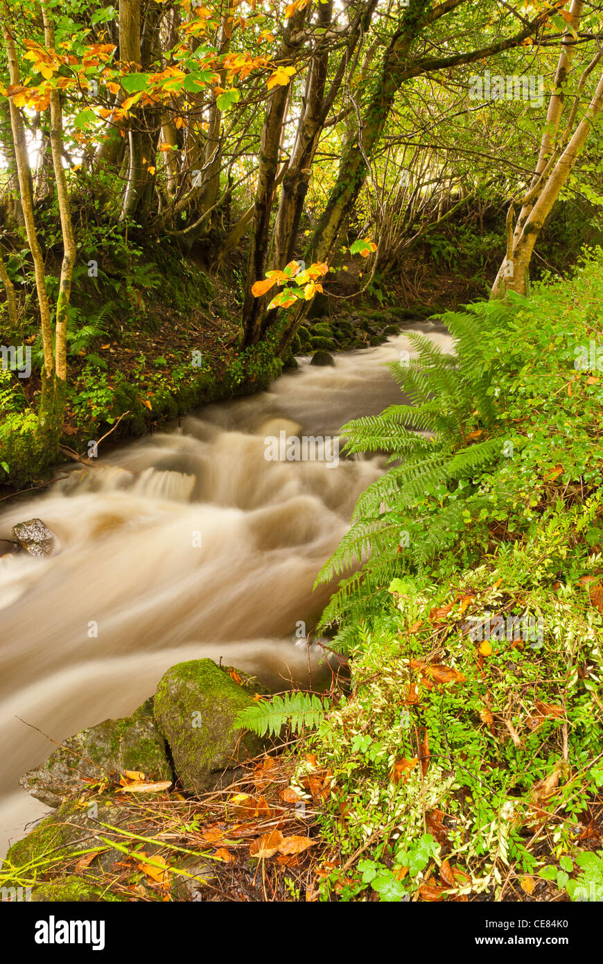 Leitrim north hi-res stock photography and images - Alamy