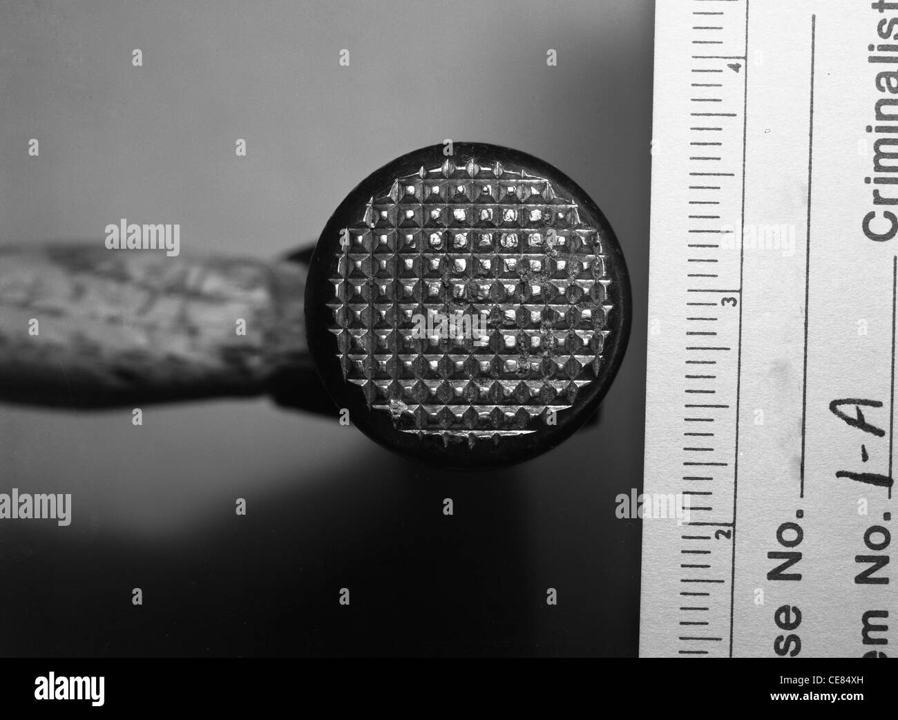 Forensic ruler hi-res stock photography and images - Alamy