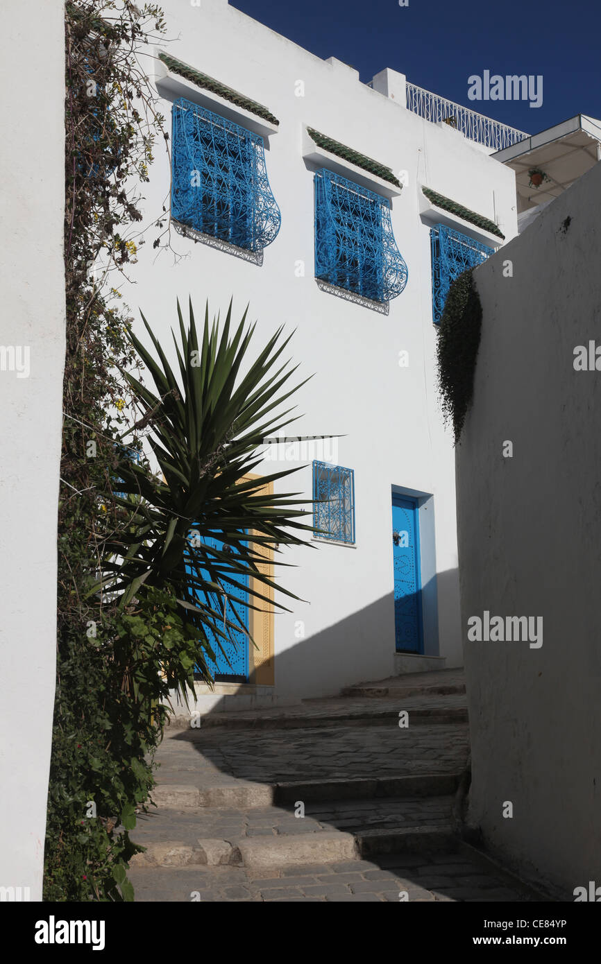 Sidi Bou Said - typical building with white walls, blue doors and ...
