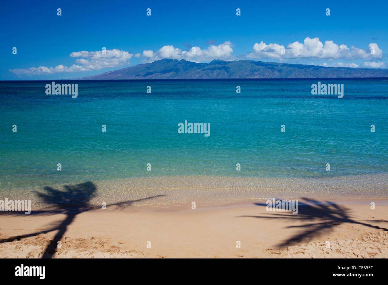 Palm shadows at Napili Bay, Maui, Hawaii Stock Photo - Alamy