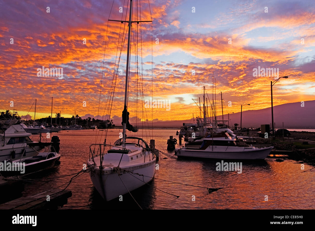 Boats and sunrise at Ma'alaea, Maui, Hawaii Stock Photo - Alamy