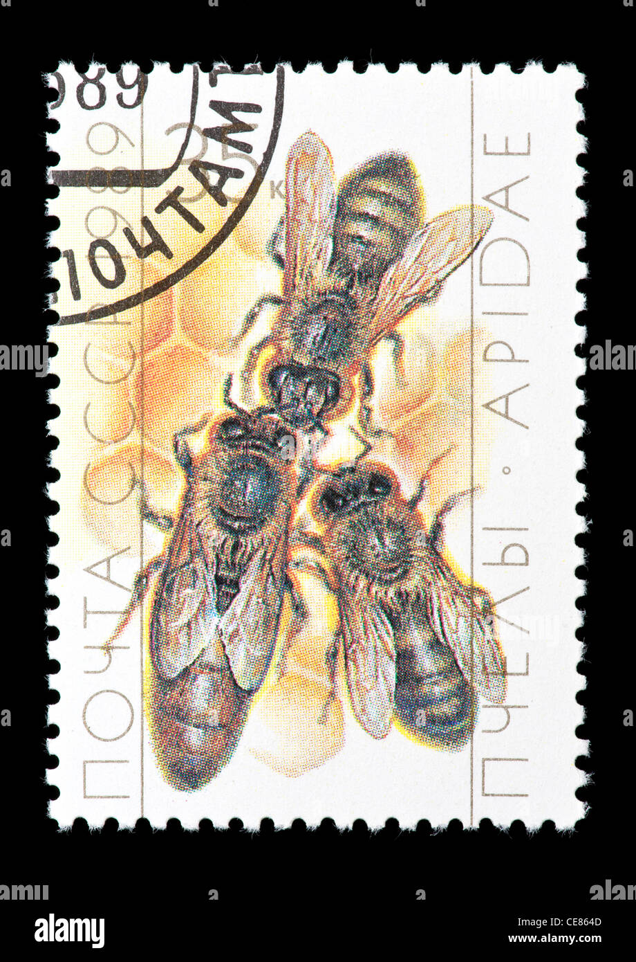 Postage stamp from the Soviet Union (Russia) depicting a a queen bee ...