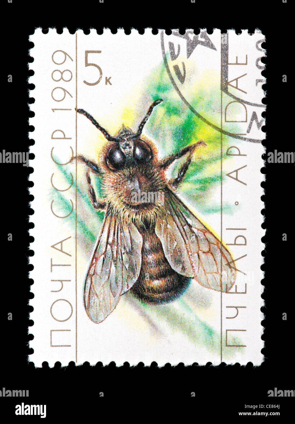 Postage stamp from the Soviet Union (Russia) depicting a drone bee ...