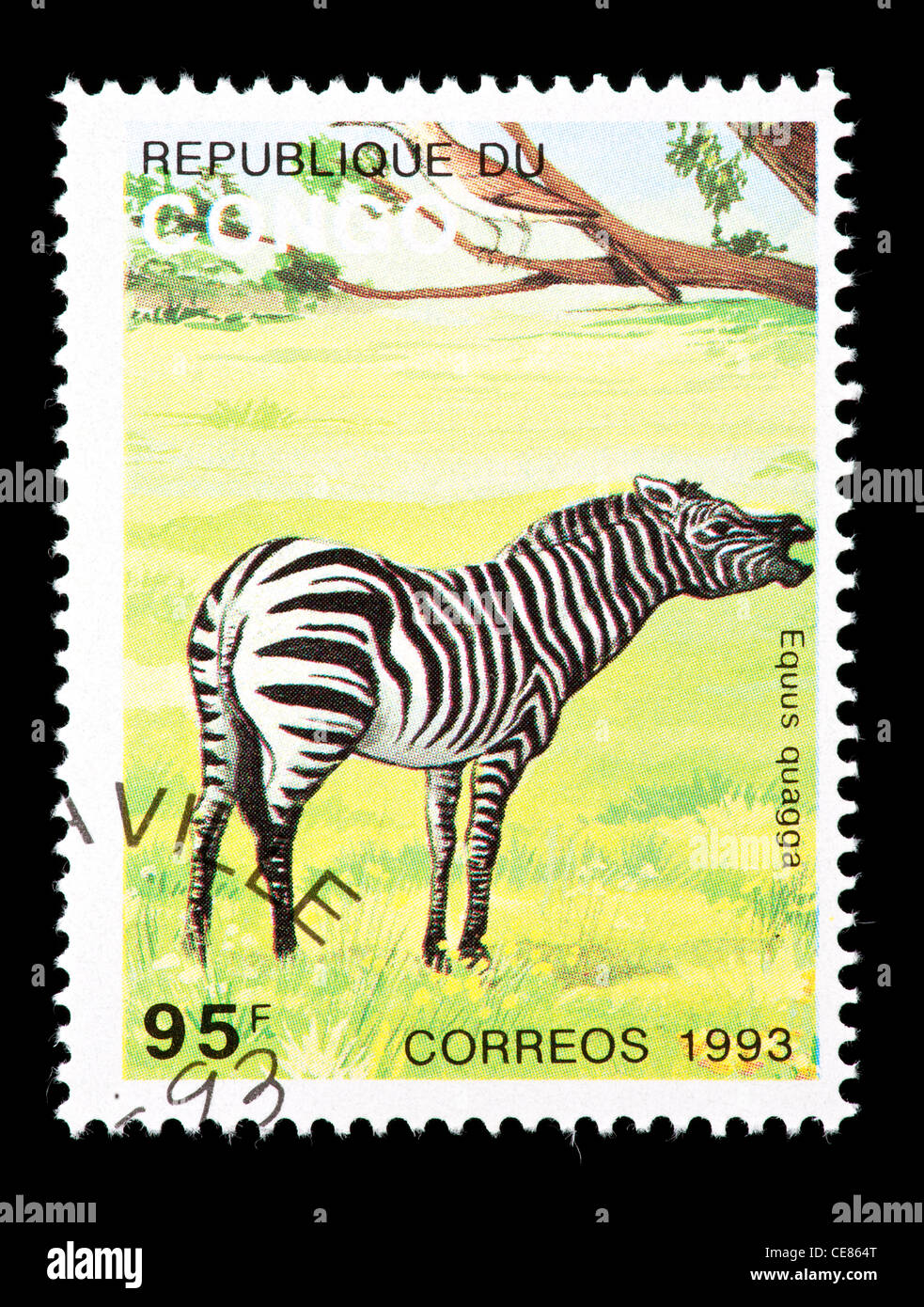 Postage stamp from the People's Republic of Congo depicting a zebra ...