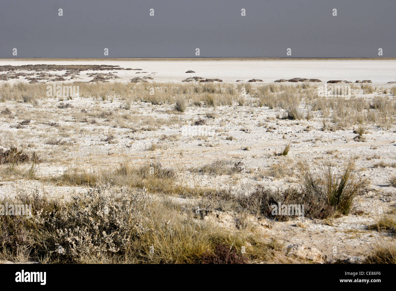 Etosha Pan in dry season, Etosha National Park, Namibia Stock Photo - Alamy