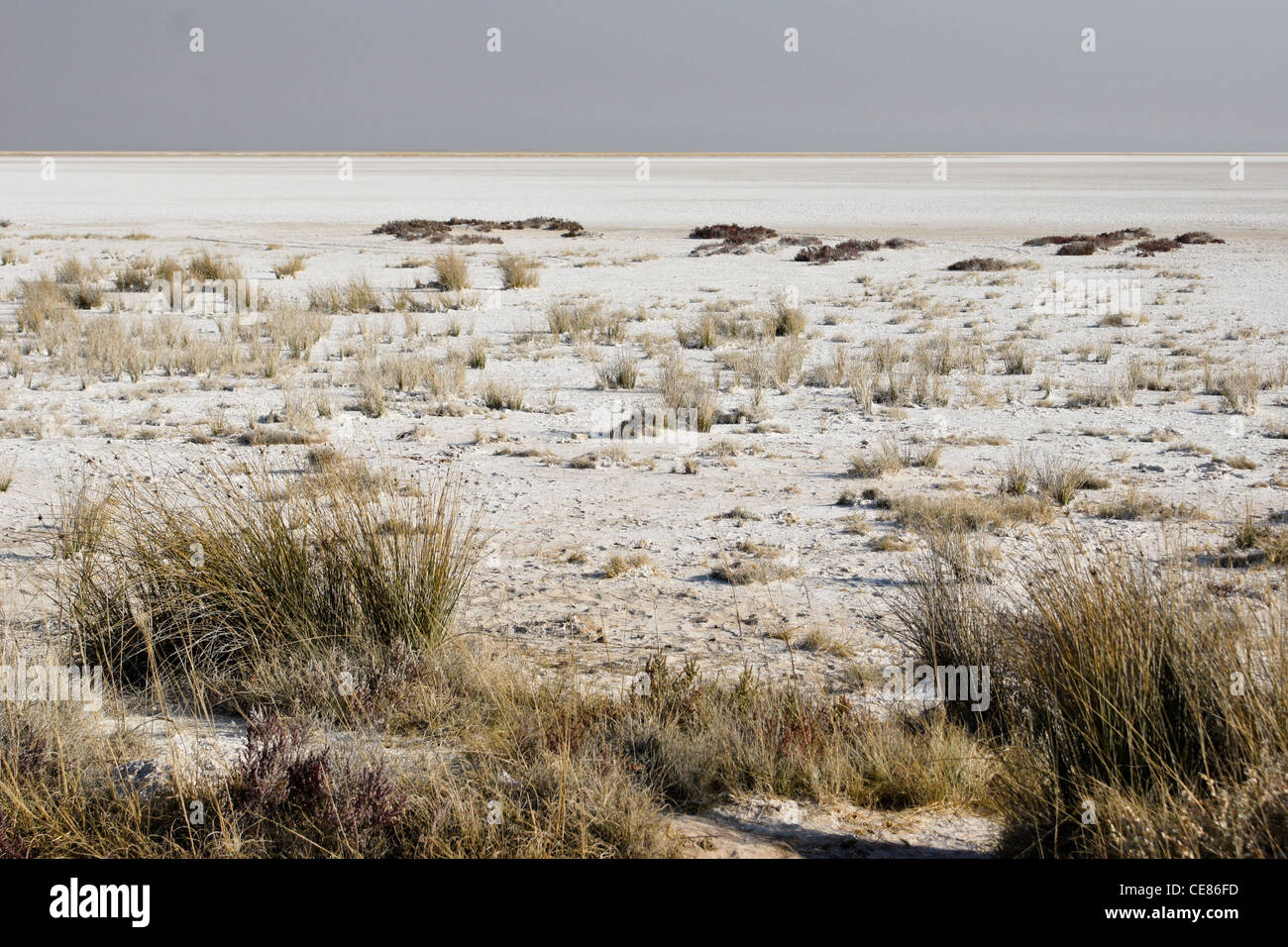 Etosha Pan in dry season, Etosha National Park, Namibia Stock Photo ...