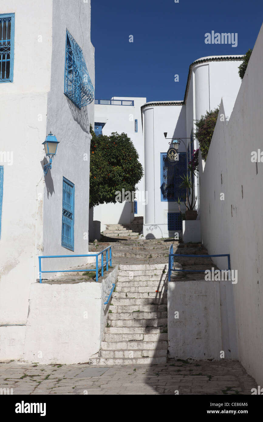Sidi Bou Said - typical building with white walls, blue doors and ...