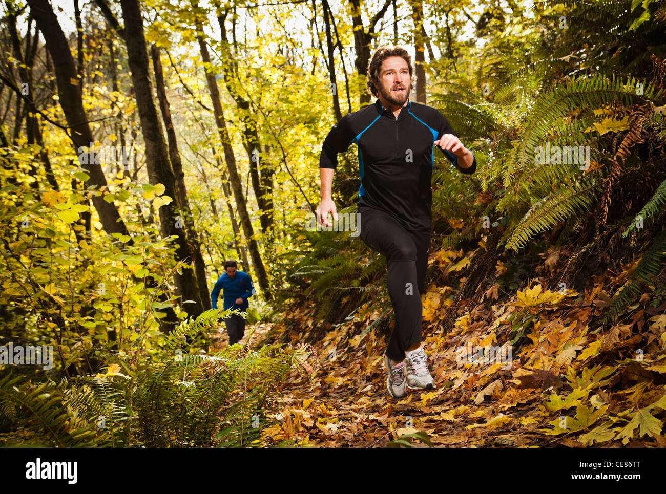 Two men trail running through a forest in the Fall colors Stock Photo ...