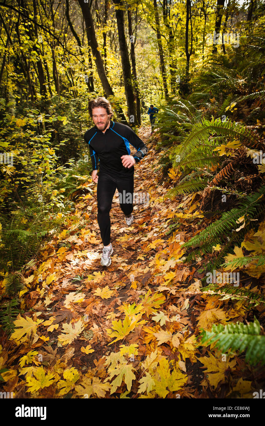 Two men trail running through a forest in the Fall colors Stock Photo ...