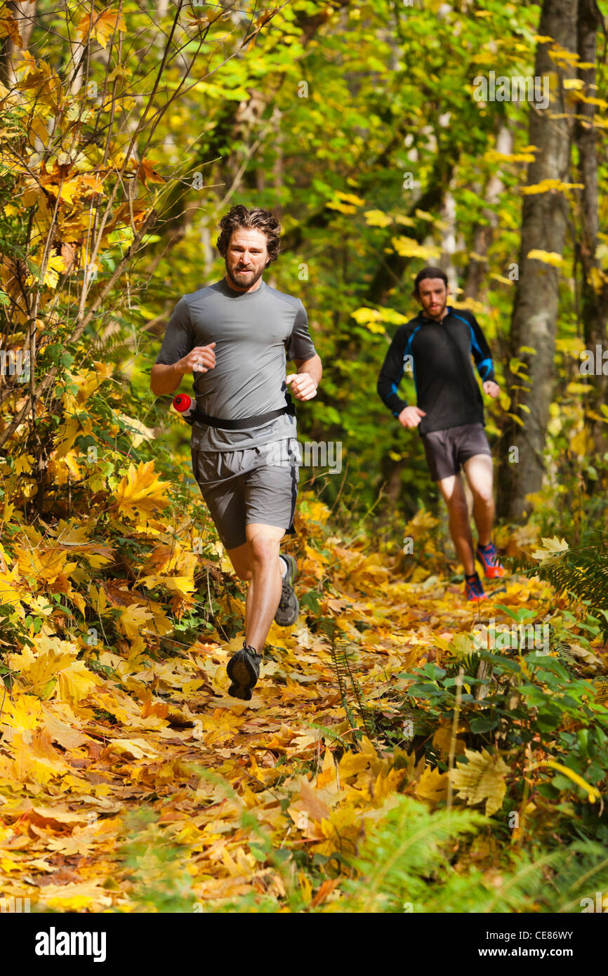 Two men trail running through a forest in the Fall colors Stock Photo ...
