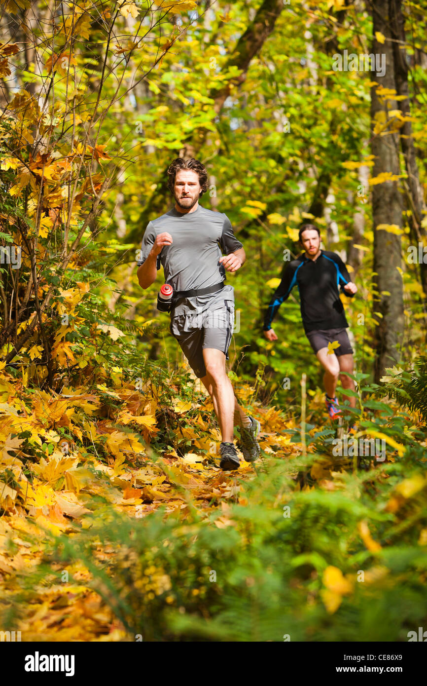 Two men trail running through a forest in the Fall colors Stock Photo ...