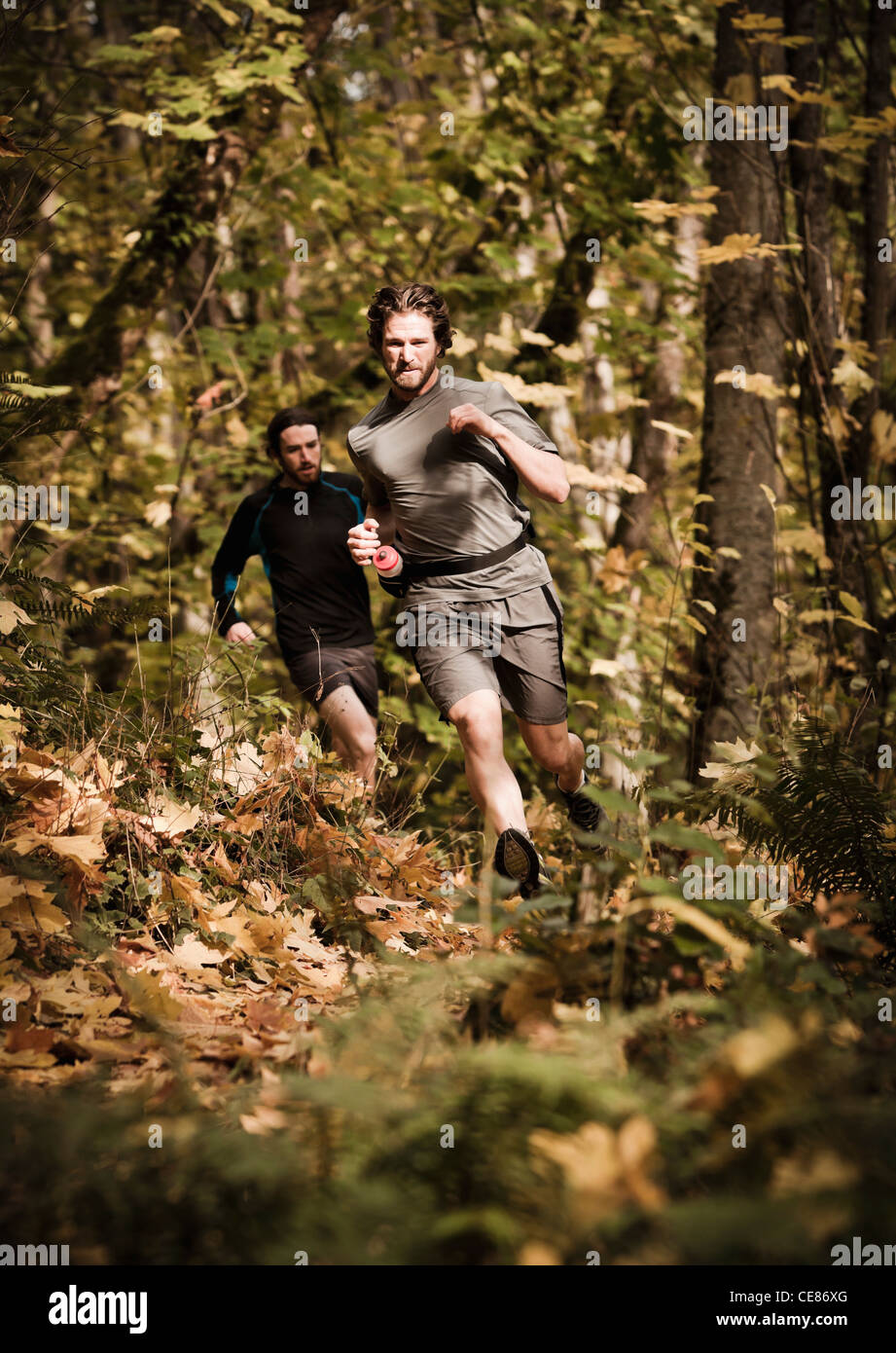 Two men trail running through a forest in the Fall colors Stock Photo ...