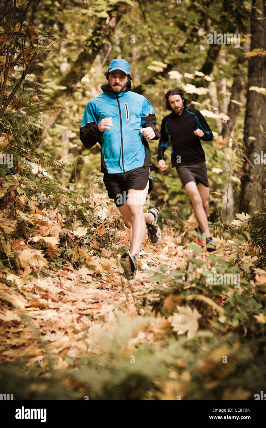 Two men trail running through a forest in the Fall colors Stock Photo ...