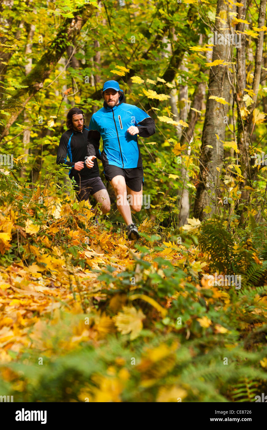 Two men trail running through a forest in the Fall colors Stock Photo ...