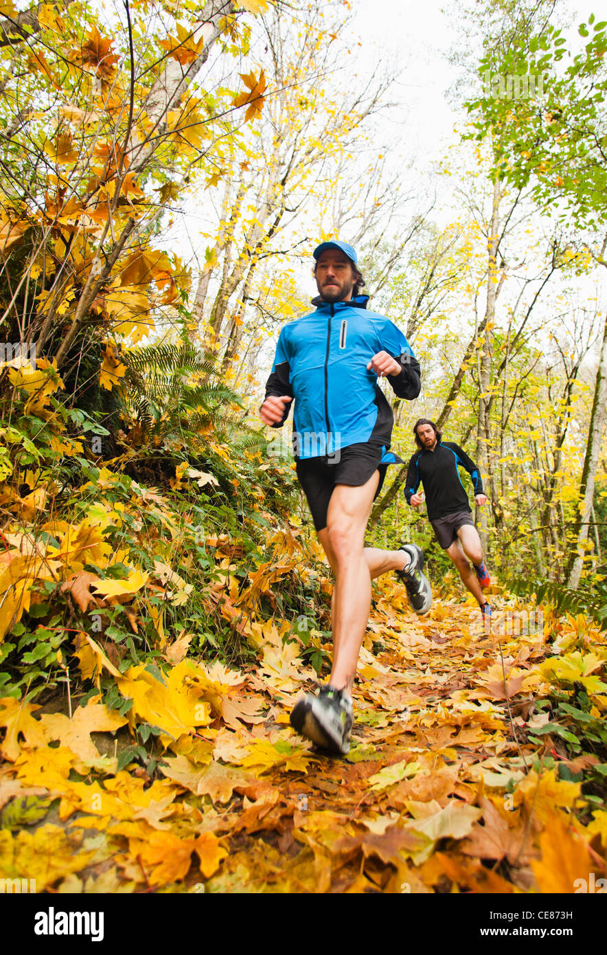 Two men trail running through a forest in the Fall colors Stock Photo ...