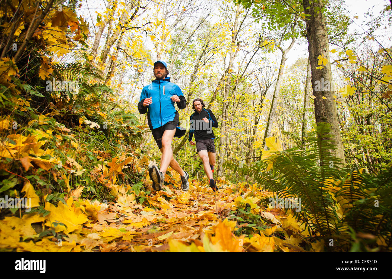 Two men trail running through a forest in the Fall colors Stock Photo ...