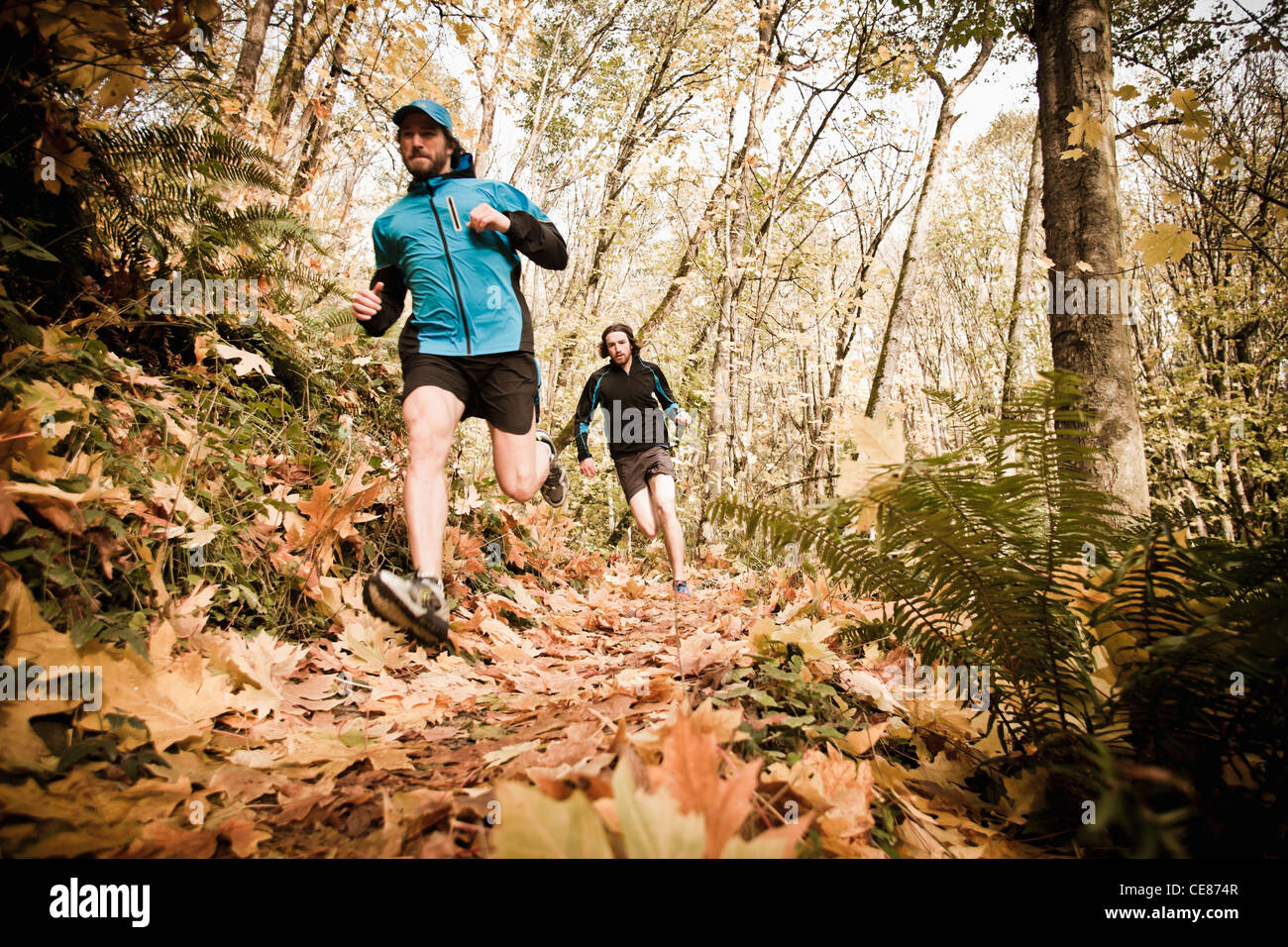 Two men trail running through a forest in the Fall colors Stock Photo ...