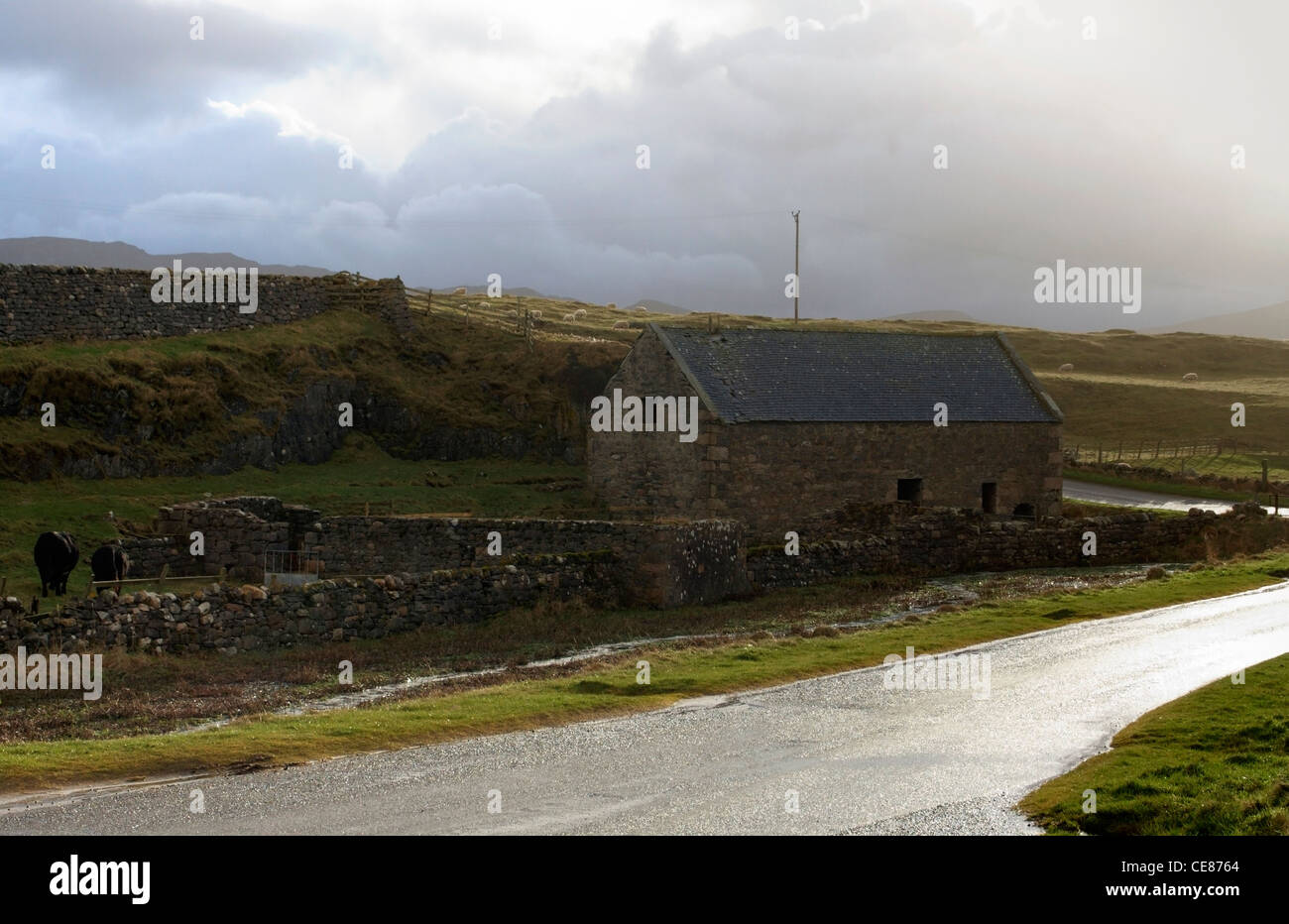 rural scenery with farm animals and stable in Scotland Stock Photo - Alamy