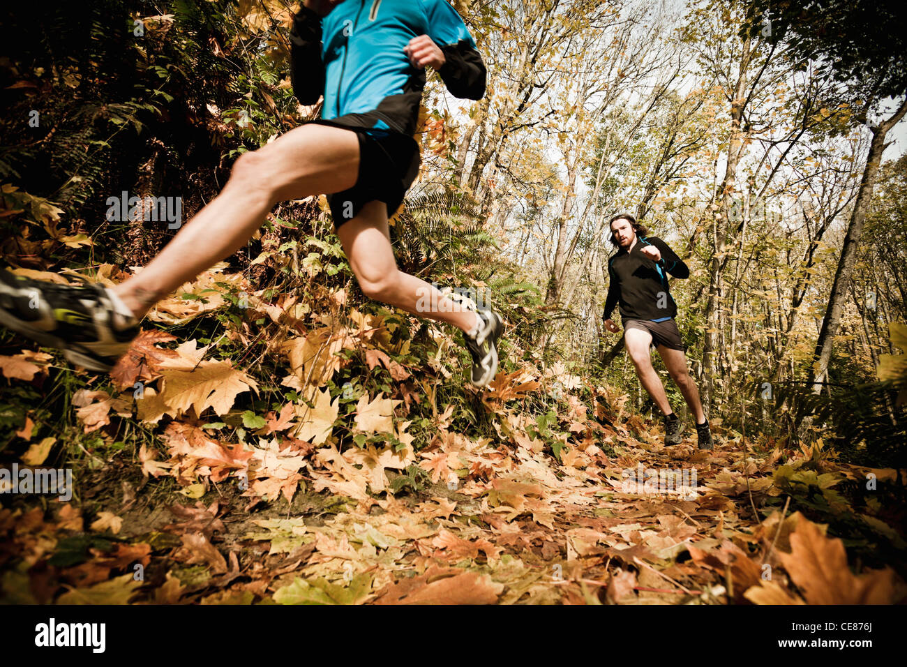 Two men trail running through a forest in the Fall colors Stock Photo ...