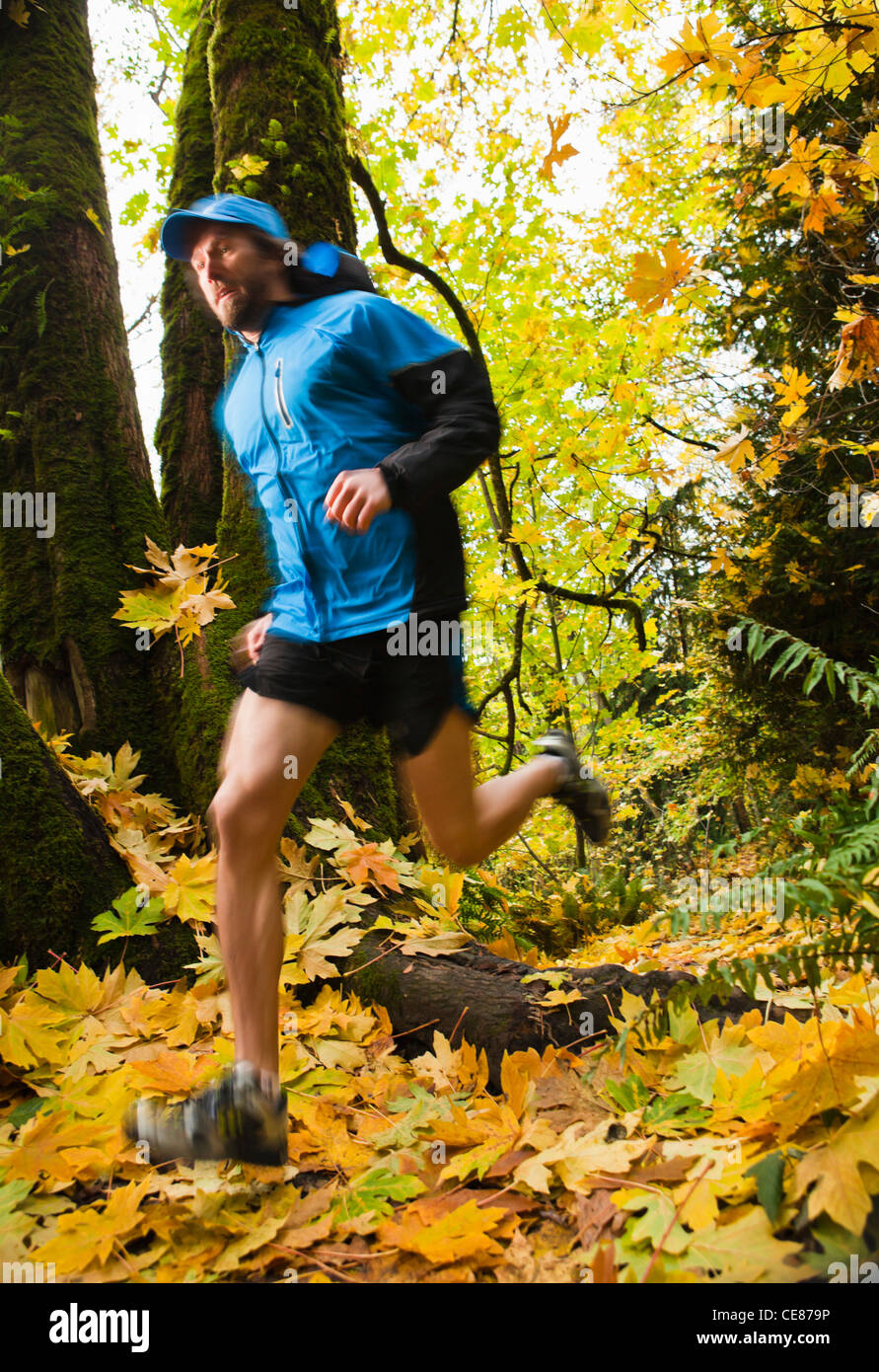 A man trail running in the forest in Fall colors Stock Photo - Alamy
