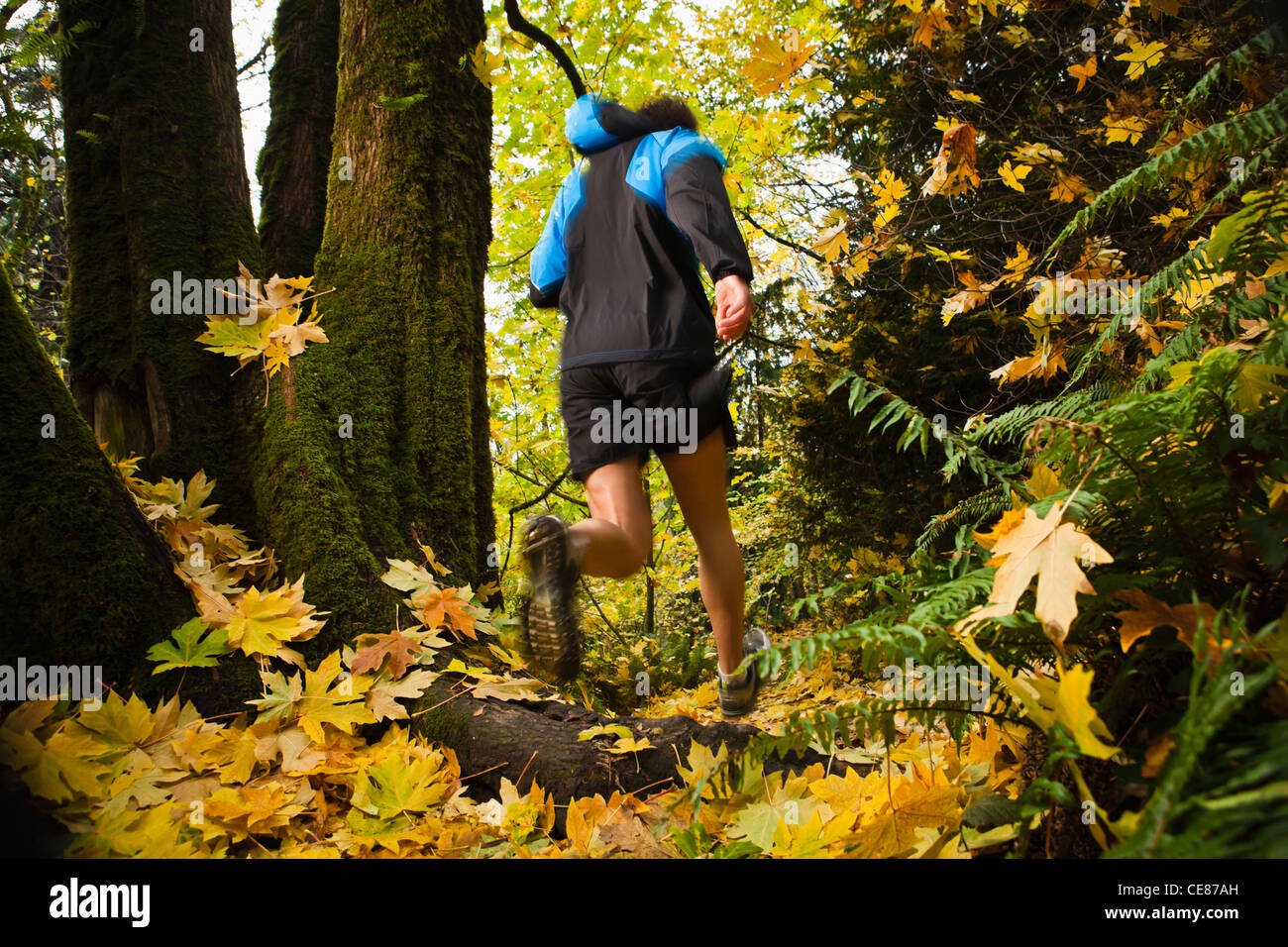 Trail running hi-res stock photography and images - Alamy