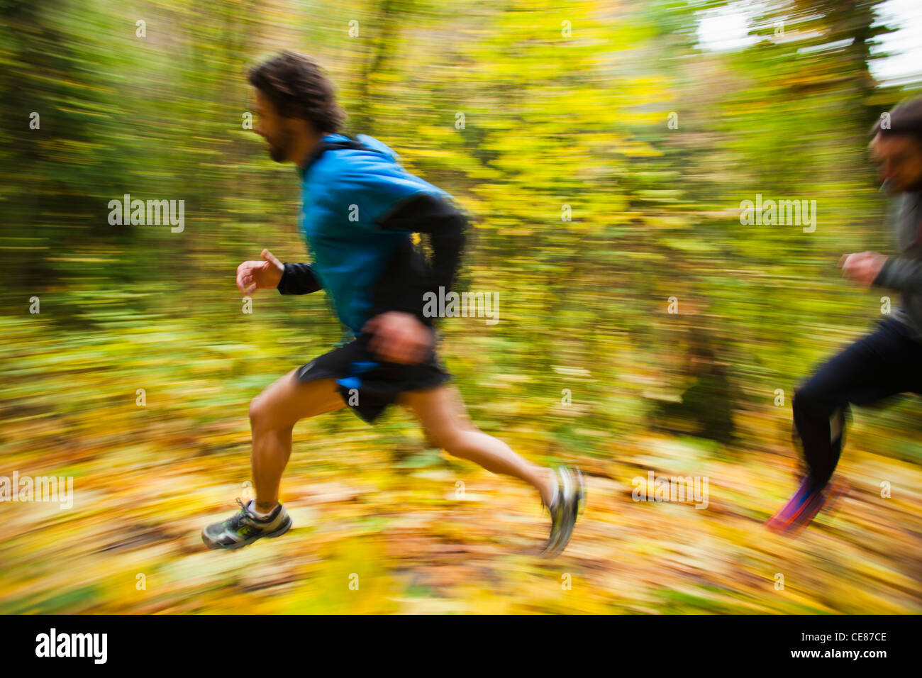 A high angle panning view of two men trail running in Fall colors Stock ...