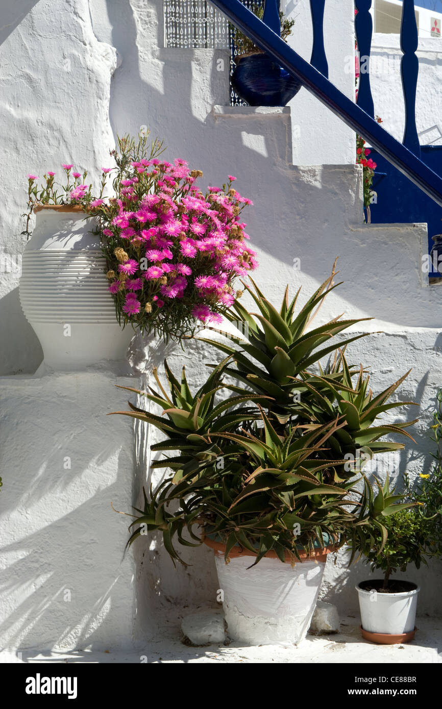 Greek Islands: Mykonos - courtyard Stock Photo - Alamy