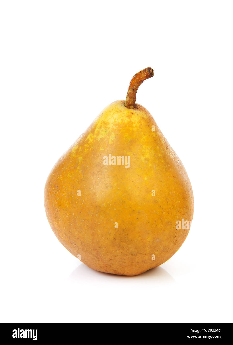 One bulbous yellow pear over white background Stock Photo - Alamy