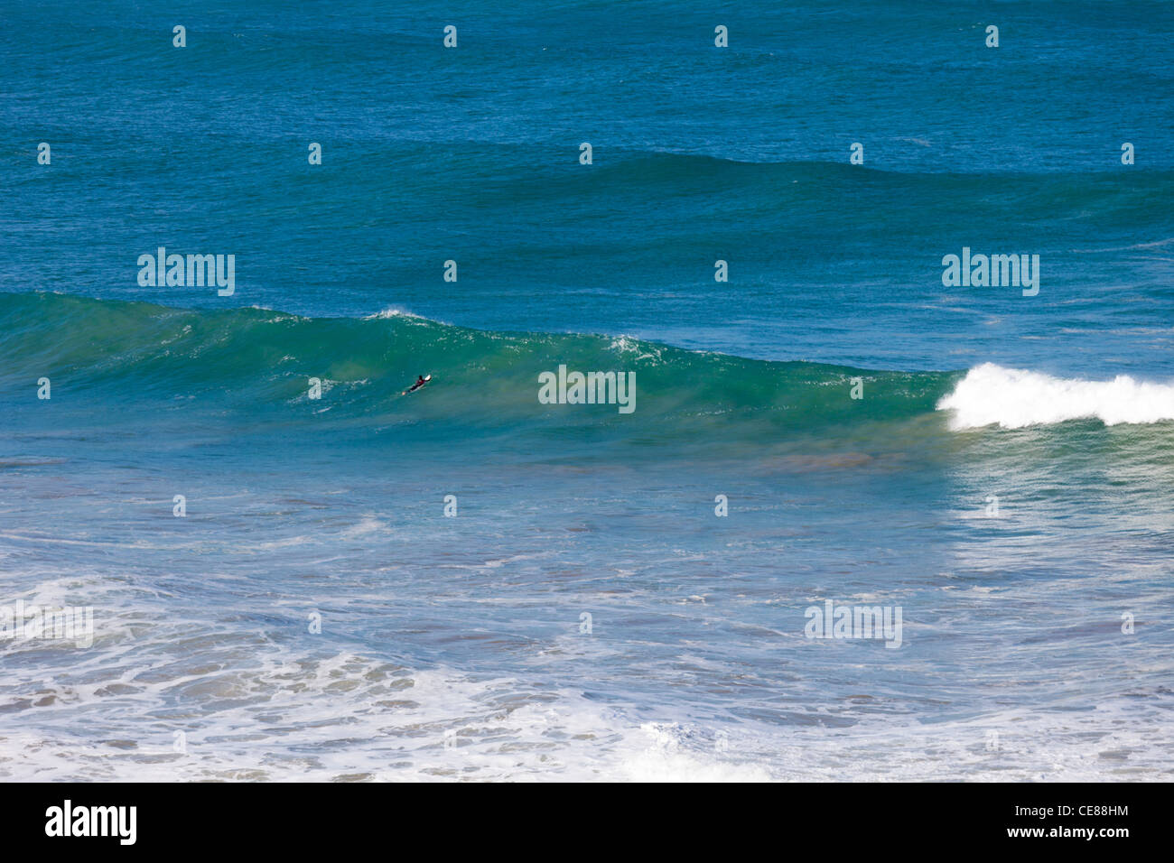 Large wave and small surfer on the Great Ocean Road Victoria Stock ...