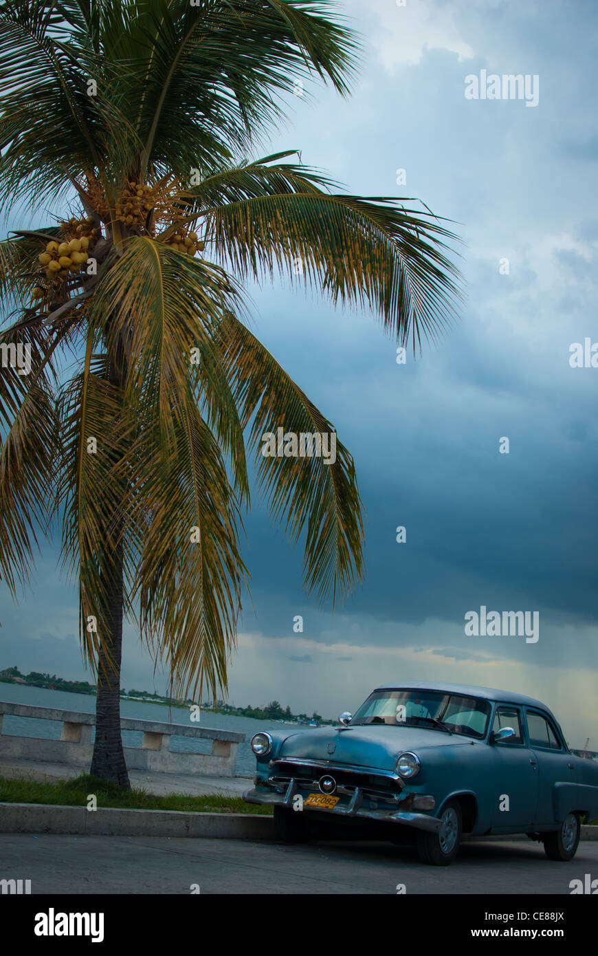 Old American car and a palm tree Stock Photo - Alamy