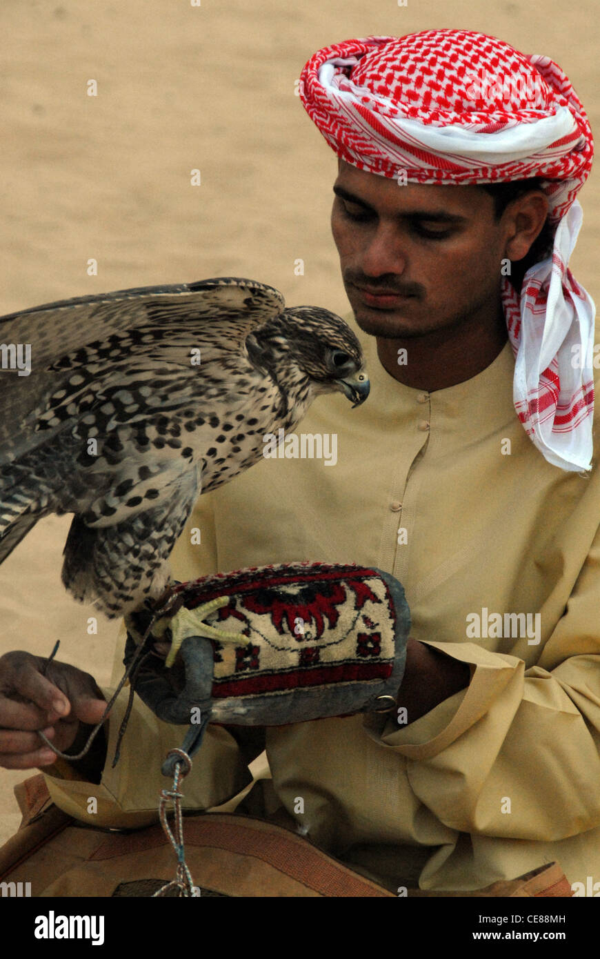 Dubai, UAE -- A falcon and its trainer in the desert outside Dubai ...