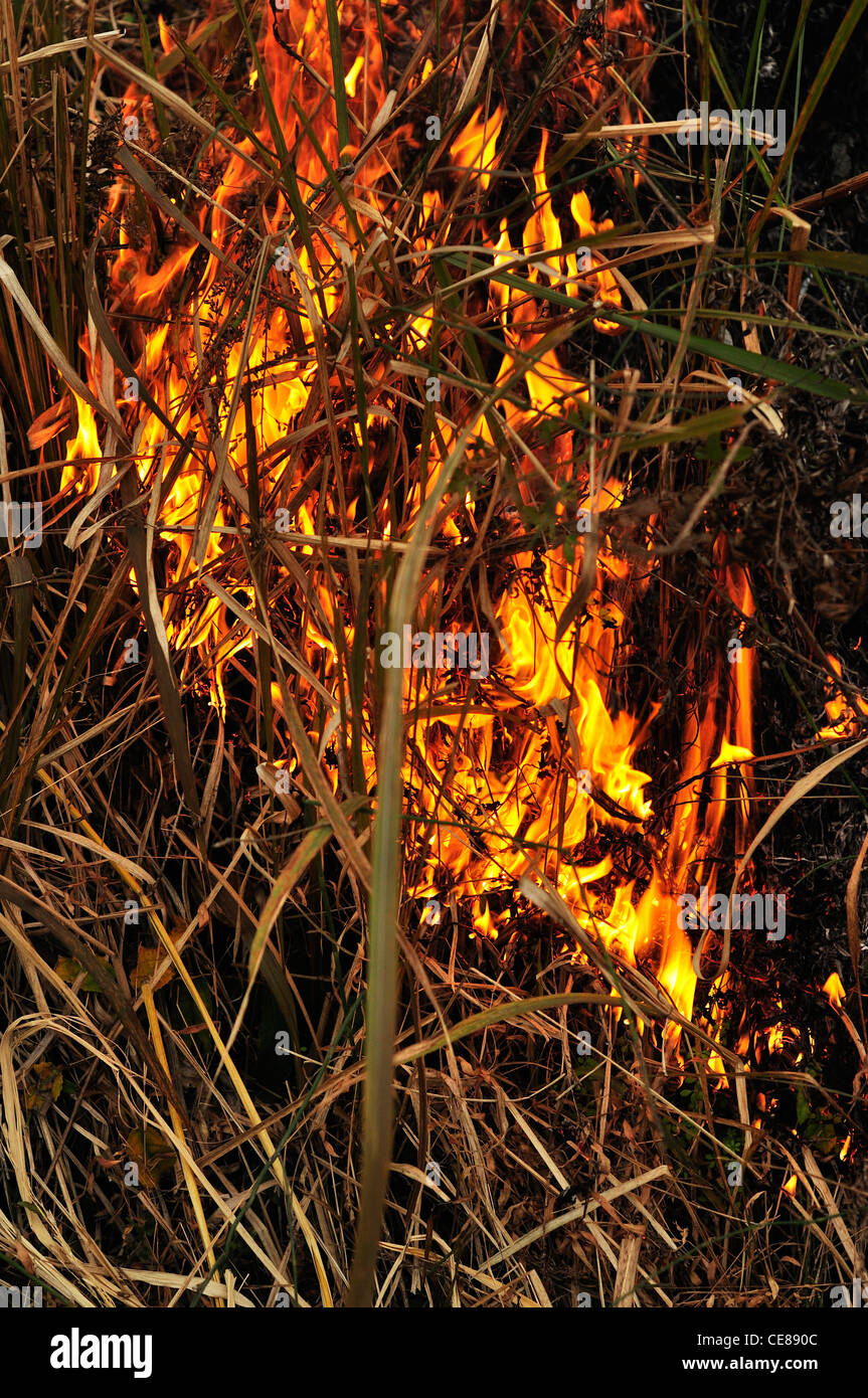 Dangerous wildfire hi-res stock photography and images - Alamy