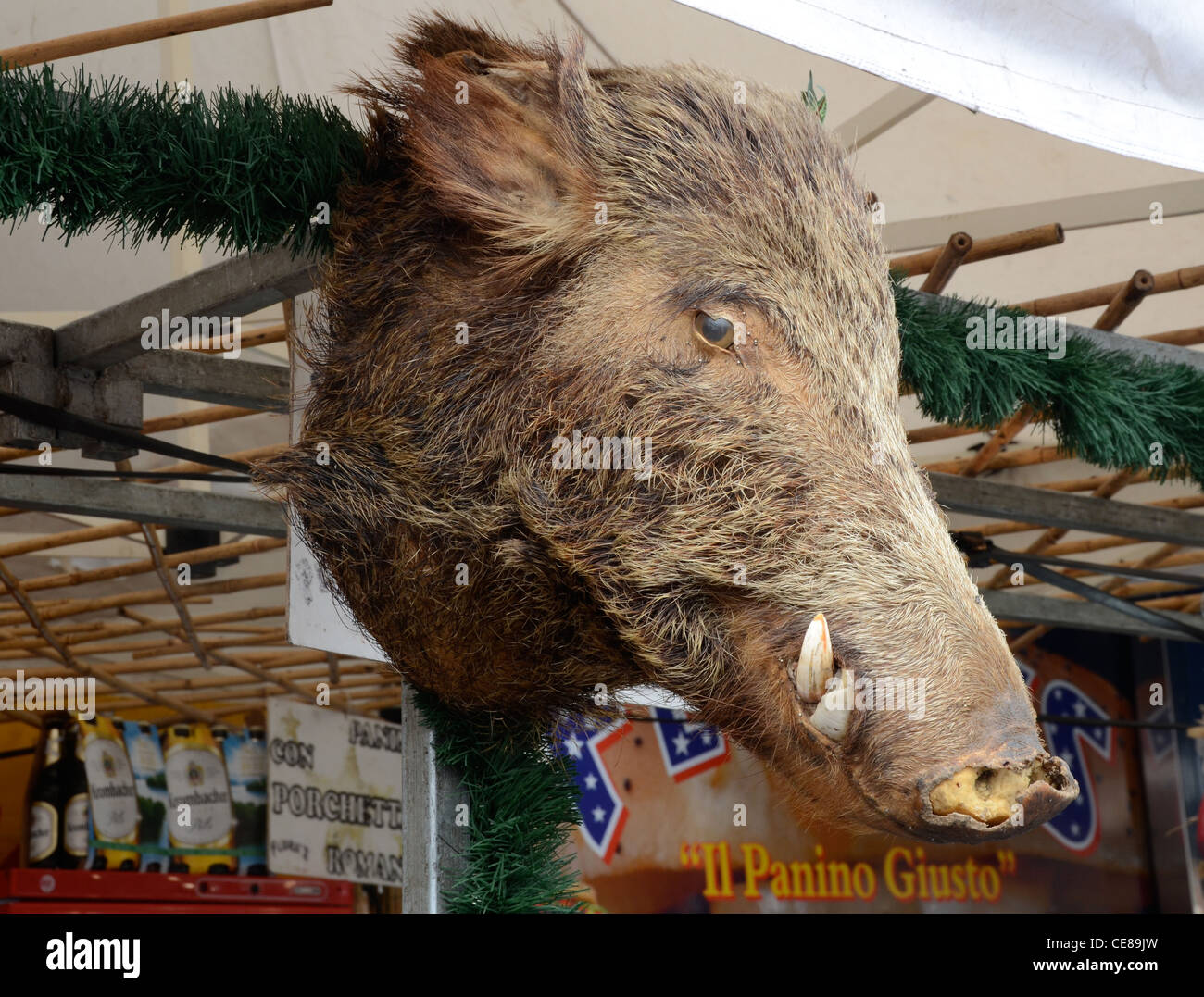 Boar's head, Italy Stock Photo - Alamy