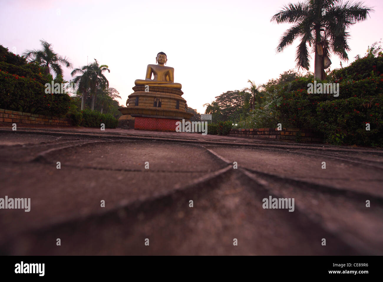 Viharamahadevi Park Sri Lanka Colombo High Resolution Stock Photography ...