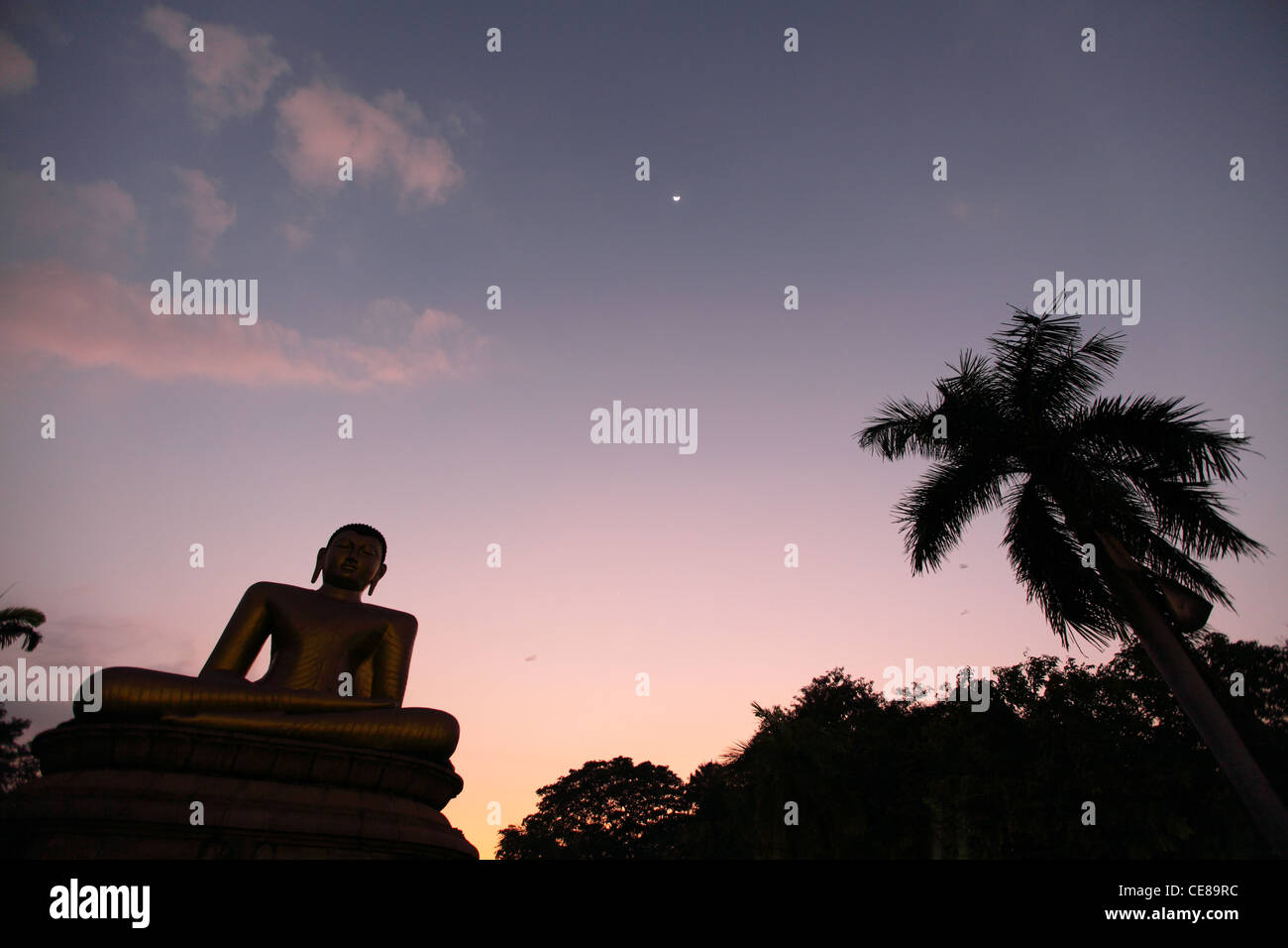 Viharamahadevi park sri lanka colombo hi-res stock photography and ...