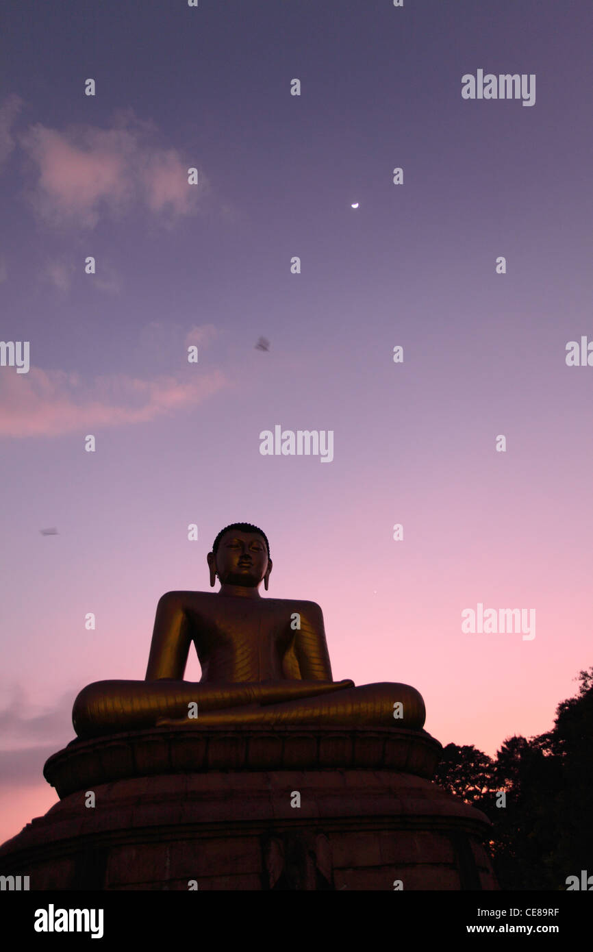 Viharamahadevi Park Sri Lanka Colombo High Resolution Stock Photography ...