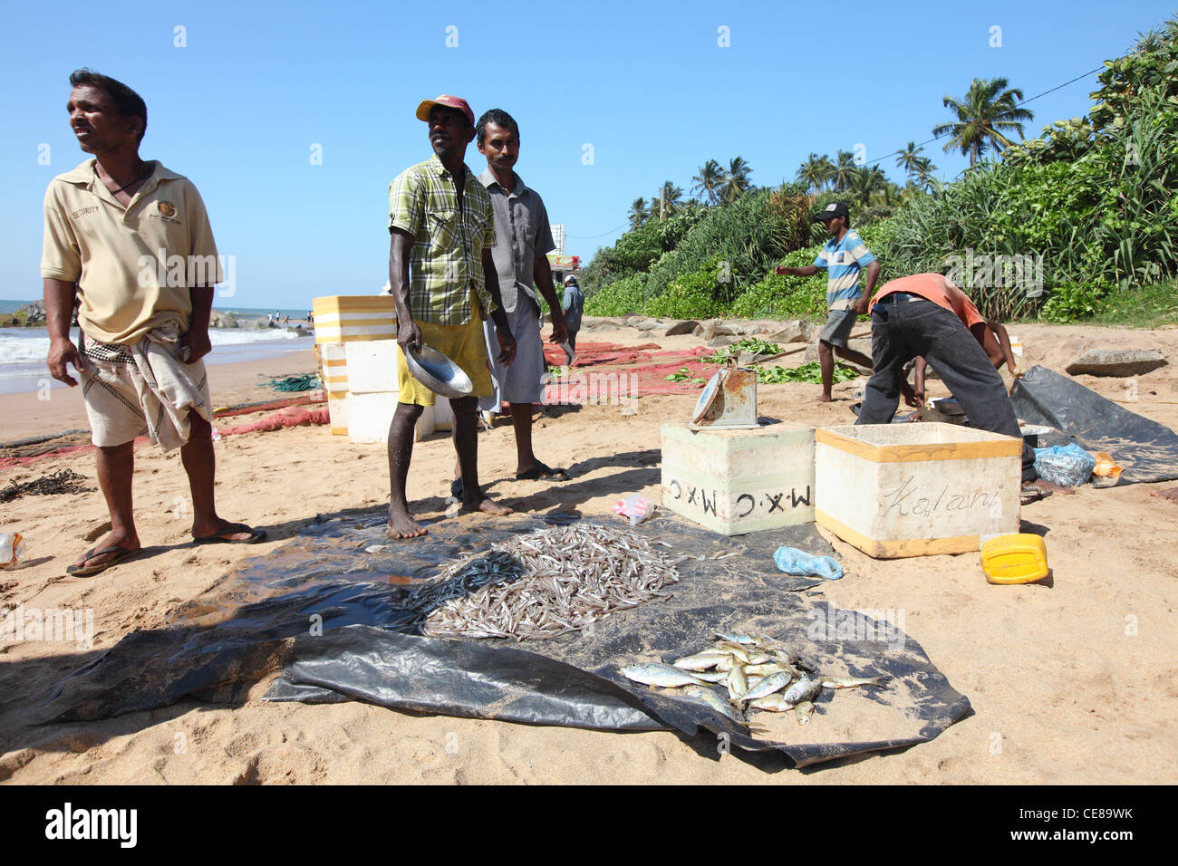 Colombo shoreline hi-res stock photography and images - Alamy