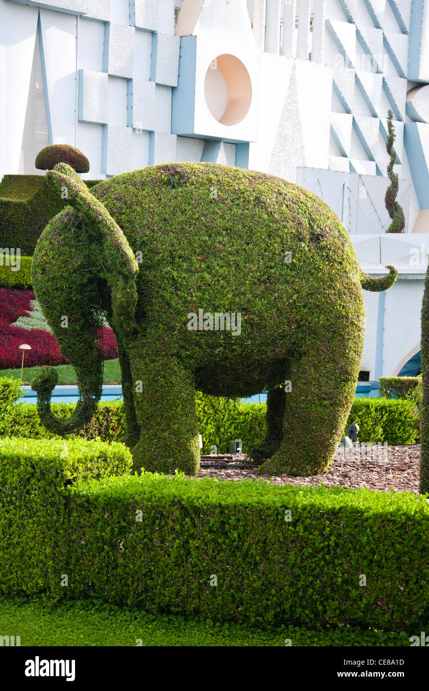 Bush in the shape of Elephant Stock Photo - Alamy