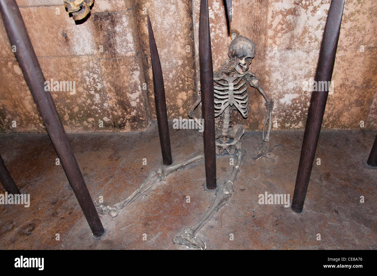 Skeleton in the basement Stock Photo - Alamy