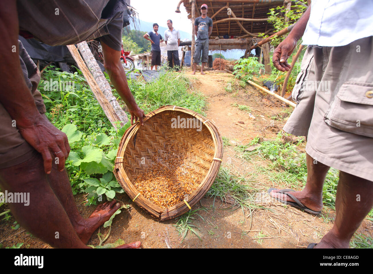 Sri lanka ratnapura mining sapphire hi-res stock photography and images ...