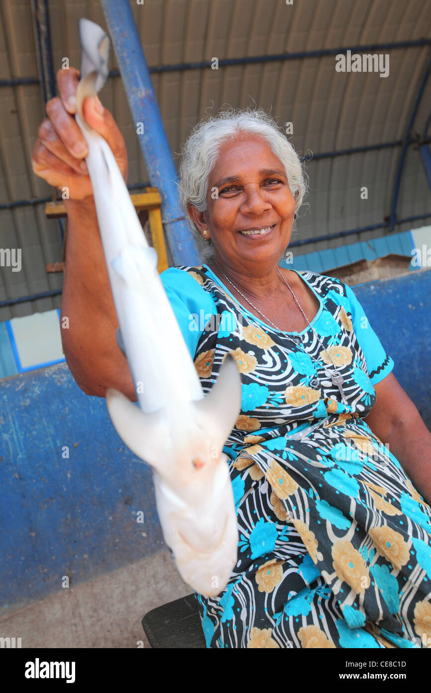 Sri Lanka, Western Province, Negombo, fish, market, fish market, food ...