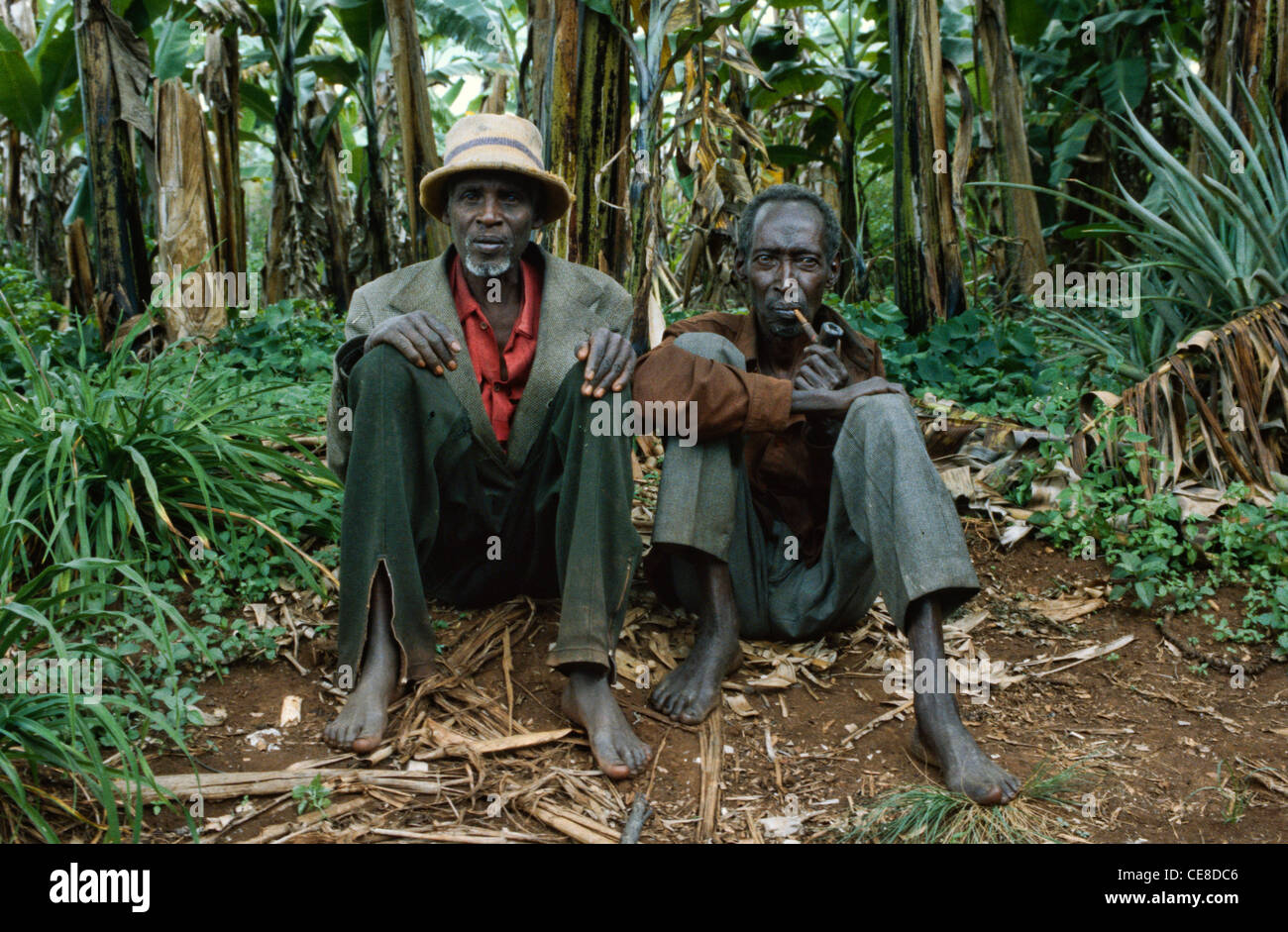 Tutsi Genocide High Resolution Stock Photography and Images - Alamy