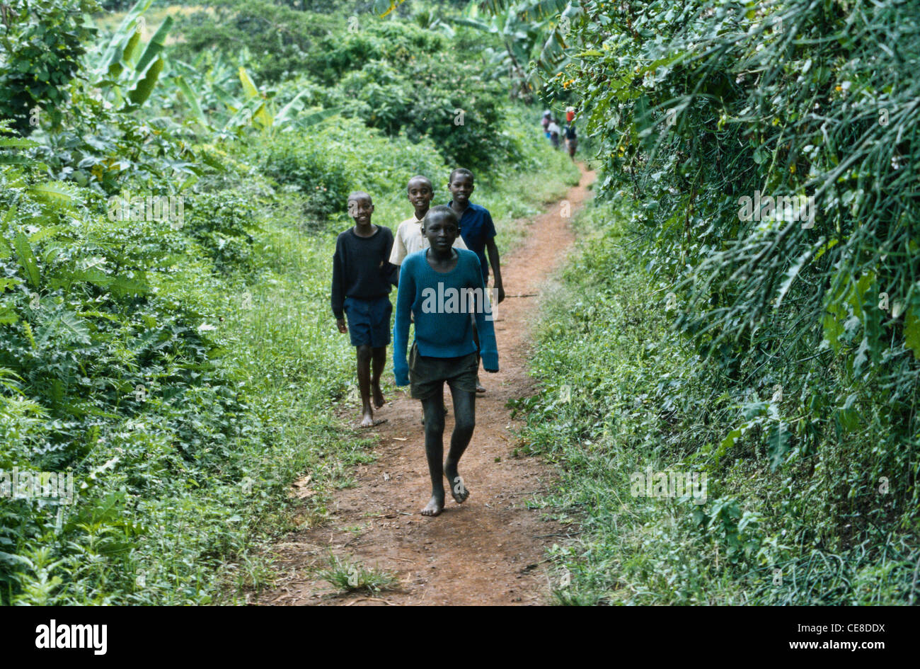 Boys walking along a path in rural Rwanda, Africa Stock Photo - Alamy
