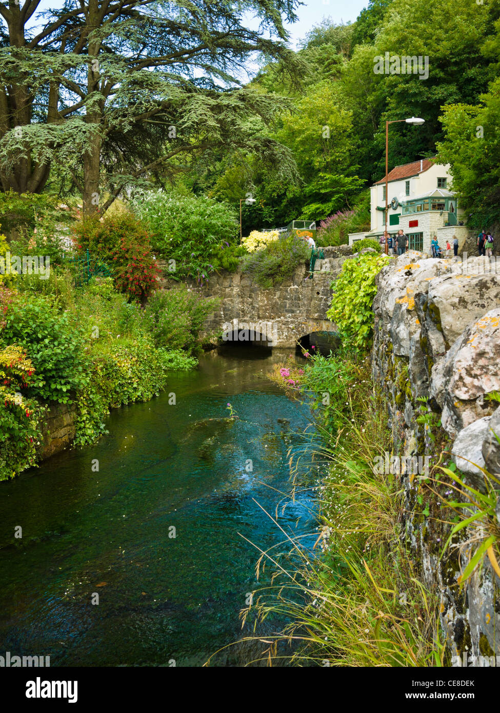 Cheddar yeo river hi-res stock photography and images - Alamy