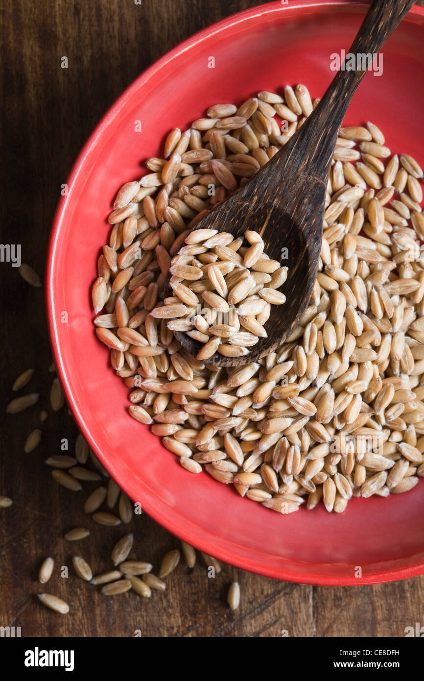 Spelt whole grain hi-res stock photography and images - Alamy